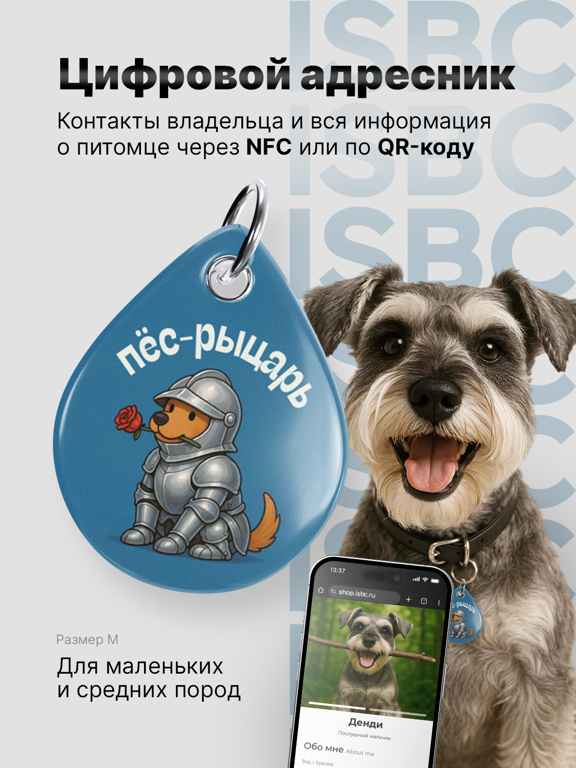 Цифровой Адресник для собак от ISBC с NFC и QR-кодом, Рыцарь
