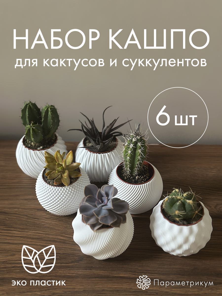 Набор кашпо для кактусов и суккулентов, 6 шт, эко PLA-пластик