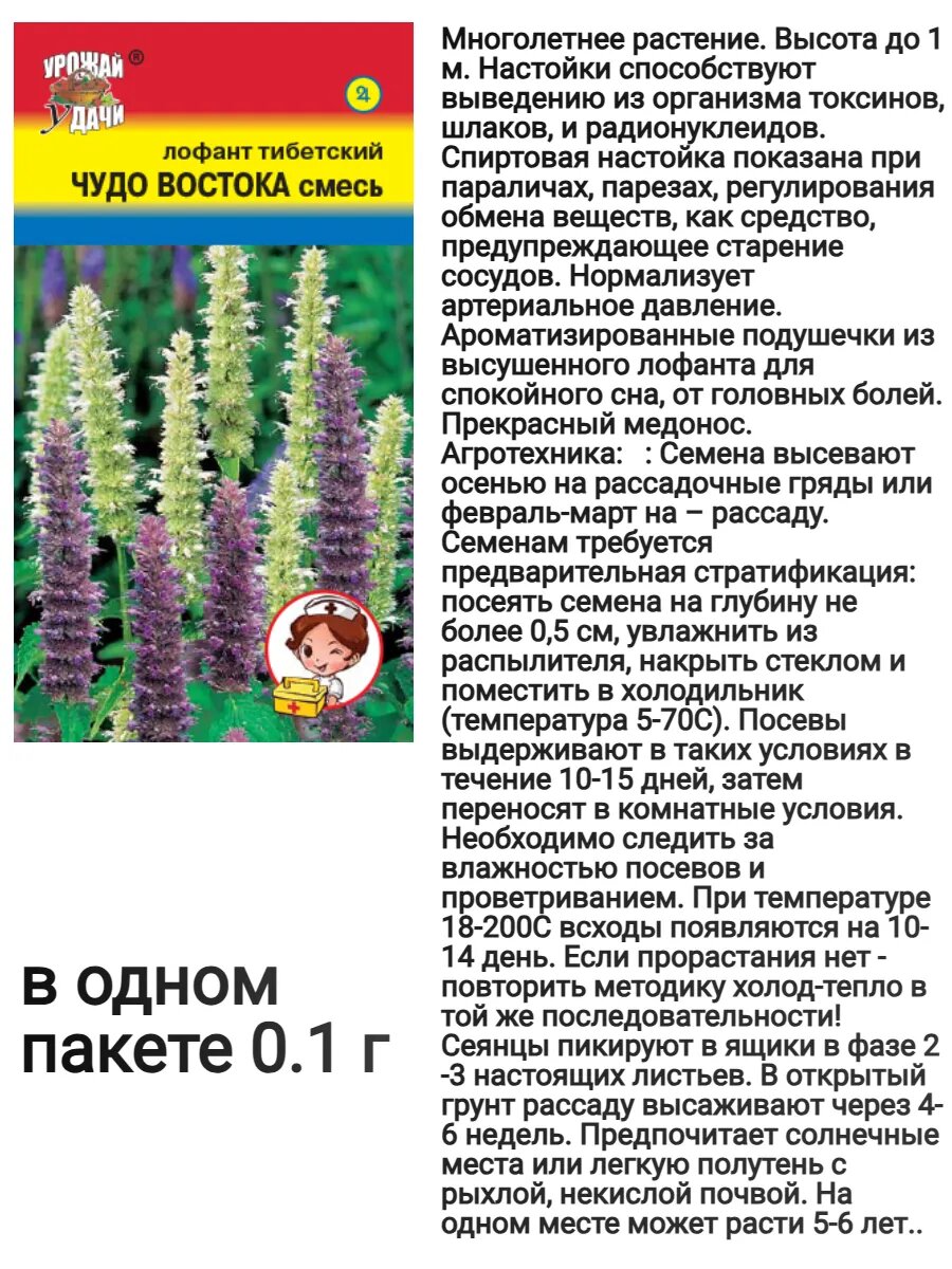 Семена лофант тибетский