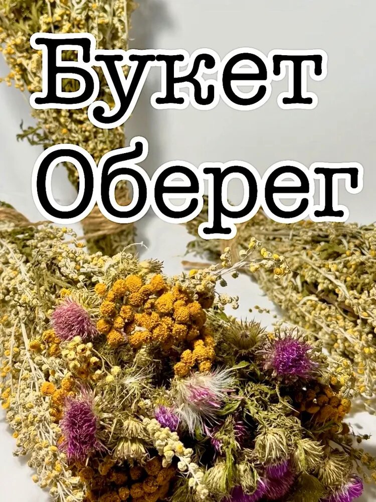 Чертополох. Оберег для дома