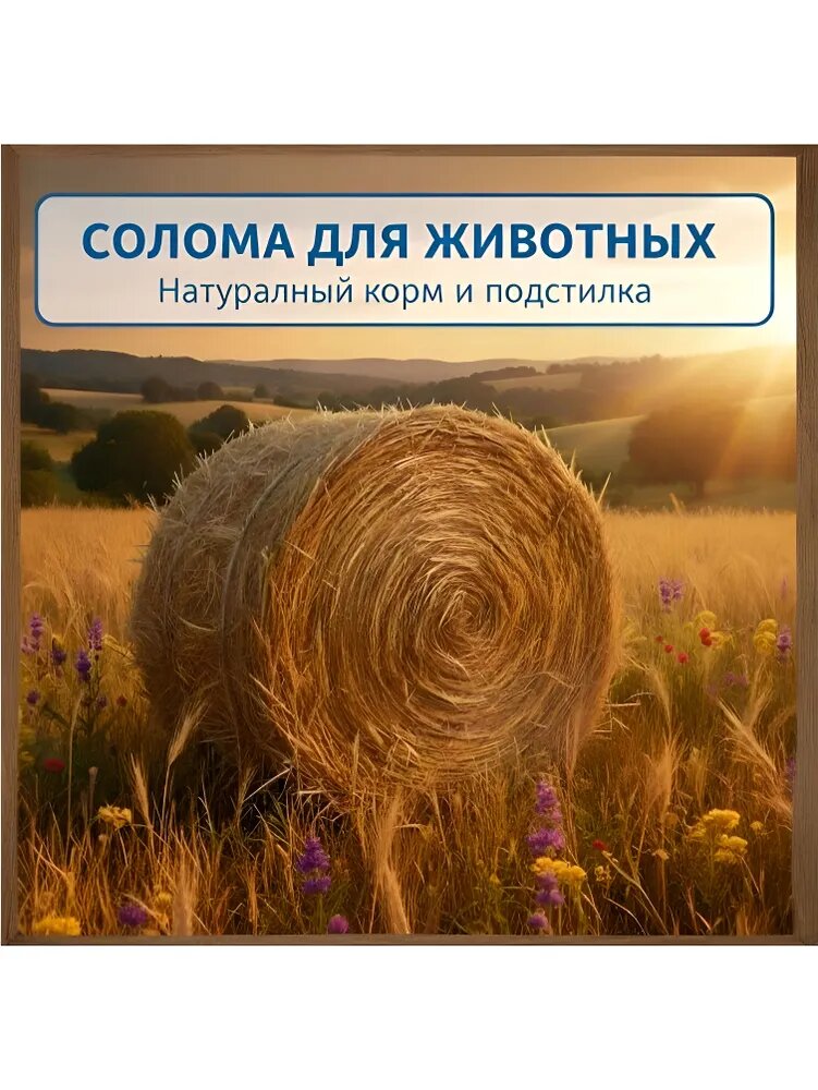 Солома ячменная 2.5 кг