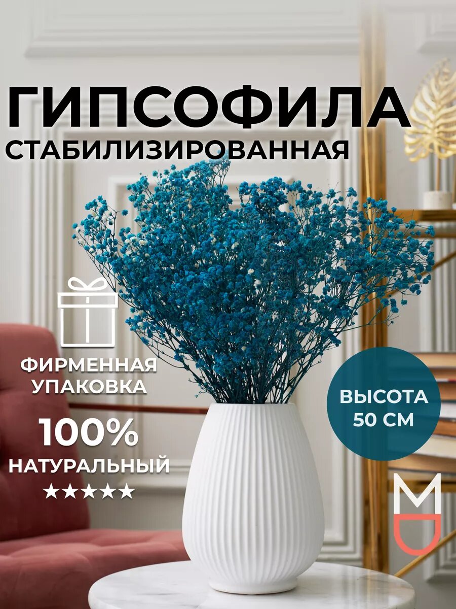 Сухоцветы для декора Гипсофилы, букет из стабилизированных декоративных цветов