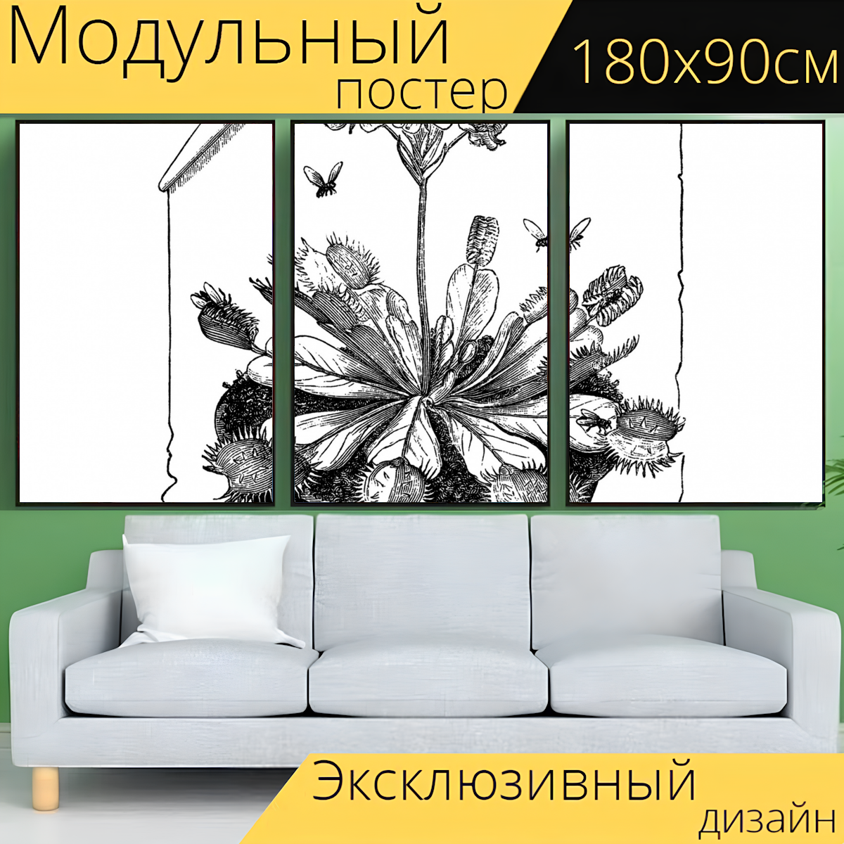 Модульный постер "Клипарт старинные росянка завод Клипарт наклейка старинный мотив росянка с хищными цветущими растениями на белом." 180 x 90 см. для интерьера на стену в тубусе