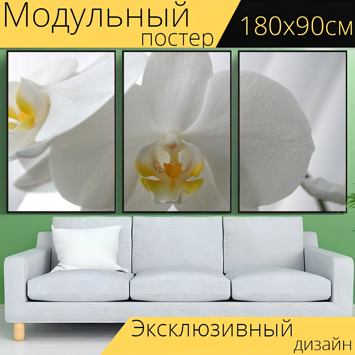 Модульный постер "Бабочки орхидеи, ночной мотылек орхидея, фаленопсис" 180 x 90 см. для интерьера на стену в тубусе