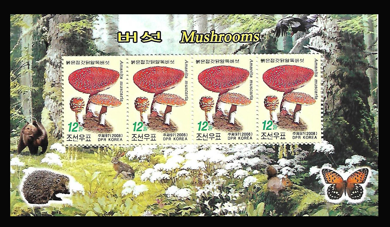 Почтовые марки Северная Корея 2008г. "Грибы" MNH