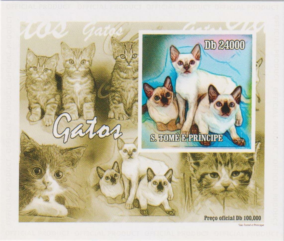 Почтовые марки Сан-Томе и Принсипи 2010г. "Котята" Кошки MNH