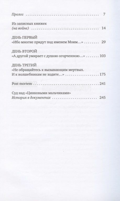 Цинковые мальчики — фото 1