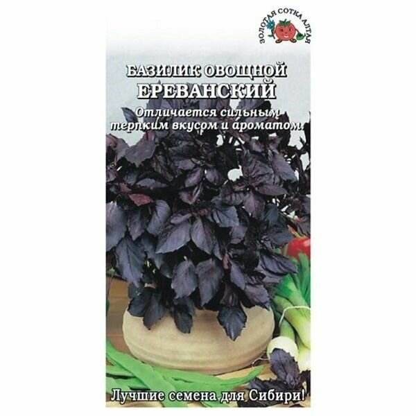 Базилик Ереванский