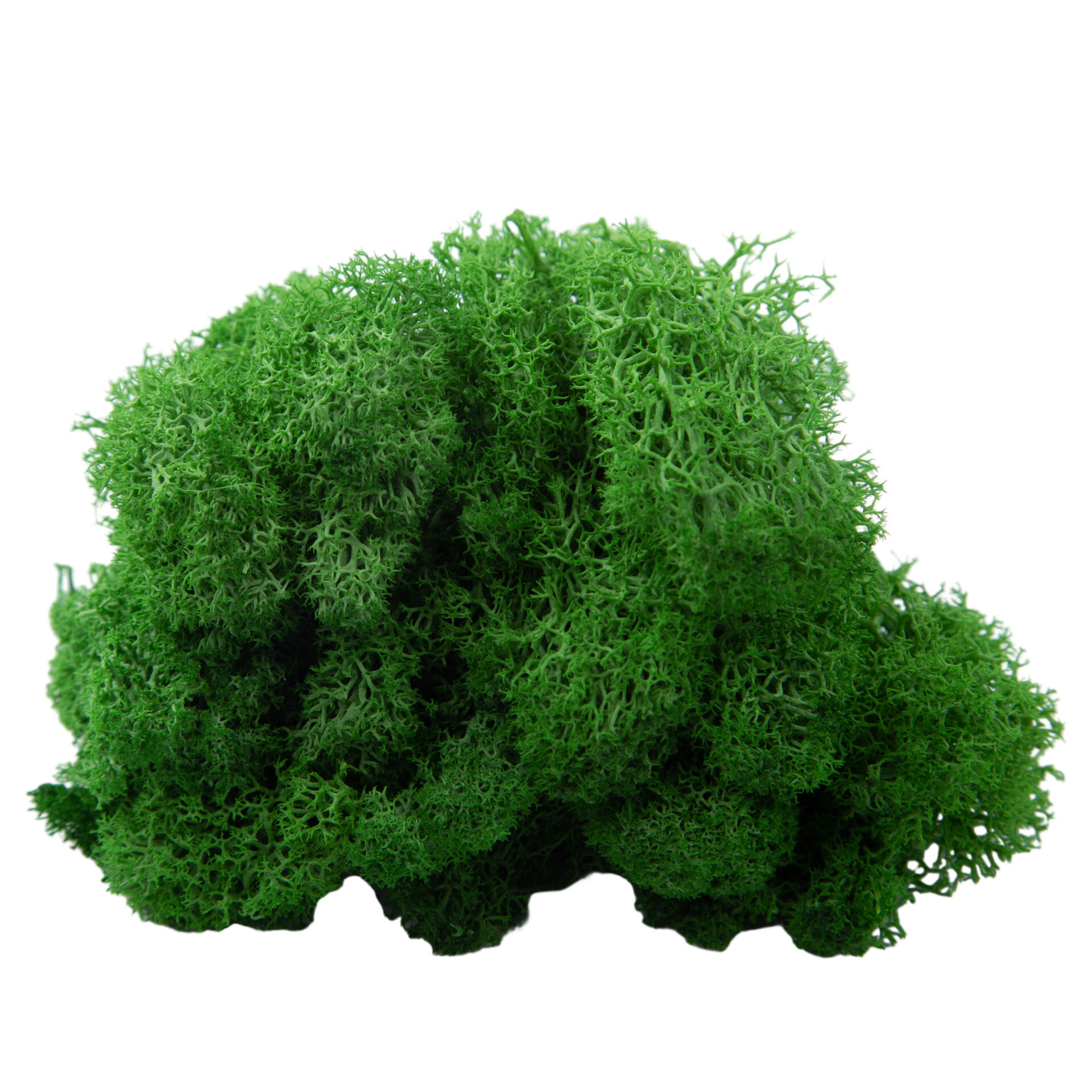 Вечный мох, имитация оленьего мха, изумрудно-зеленый