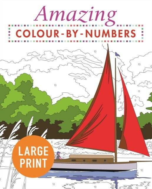 Arcturus Publishing "Amazing Colour-By-Numbers Large Print"