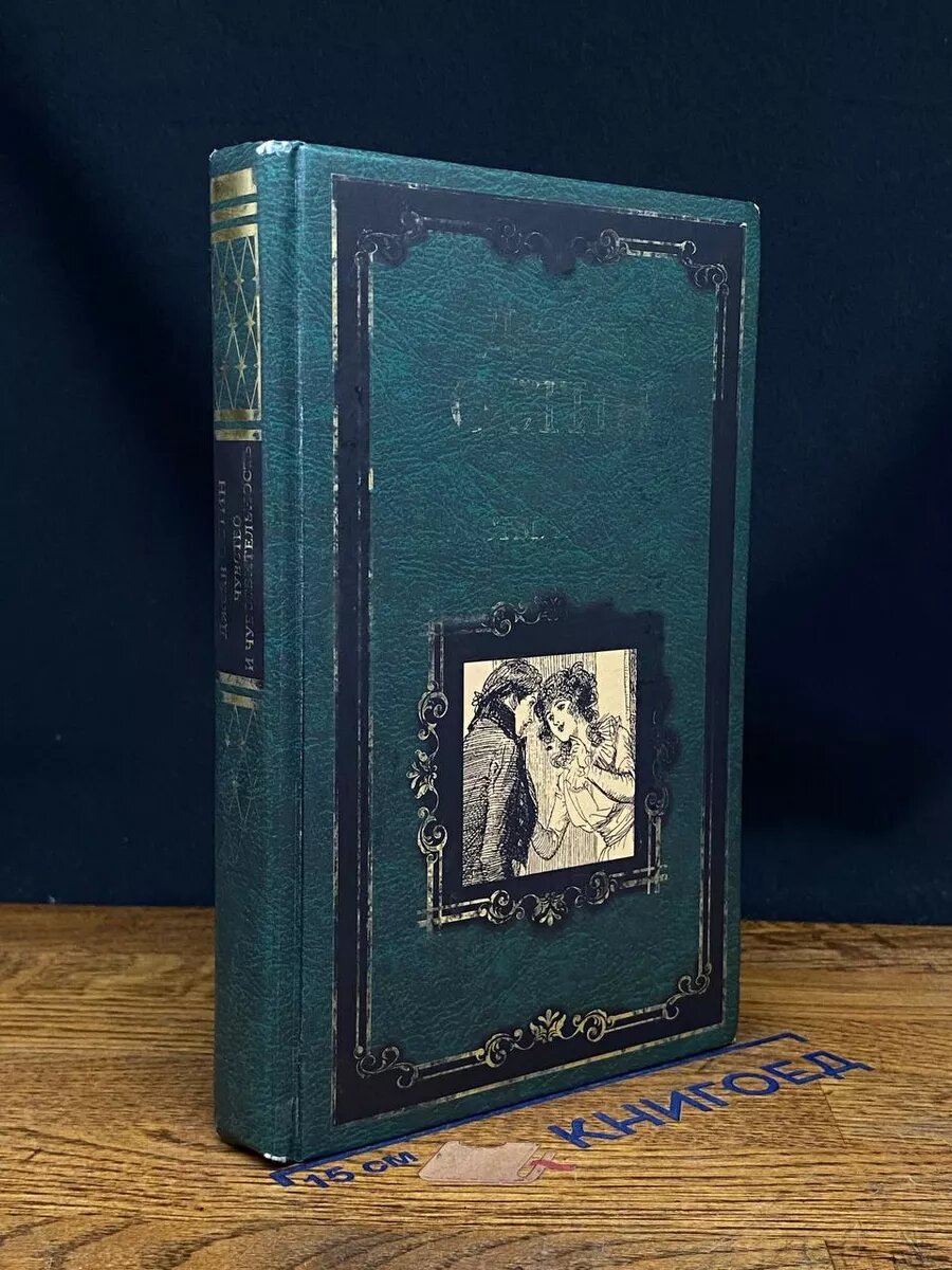 Книга. Чувство и чувствительность 2017 (2040693284316)