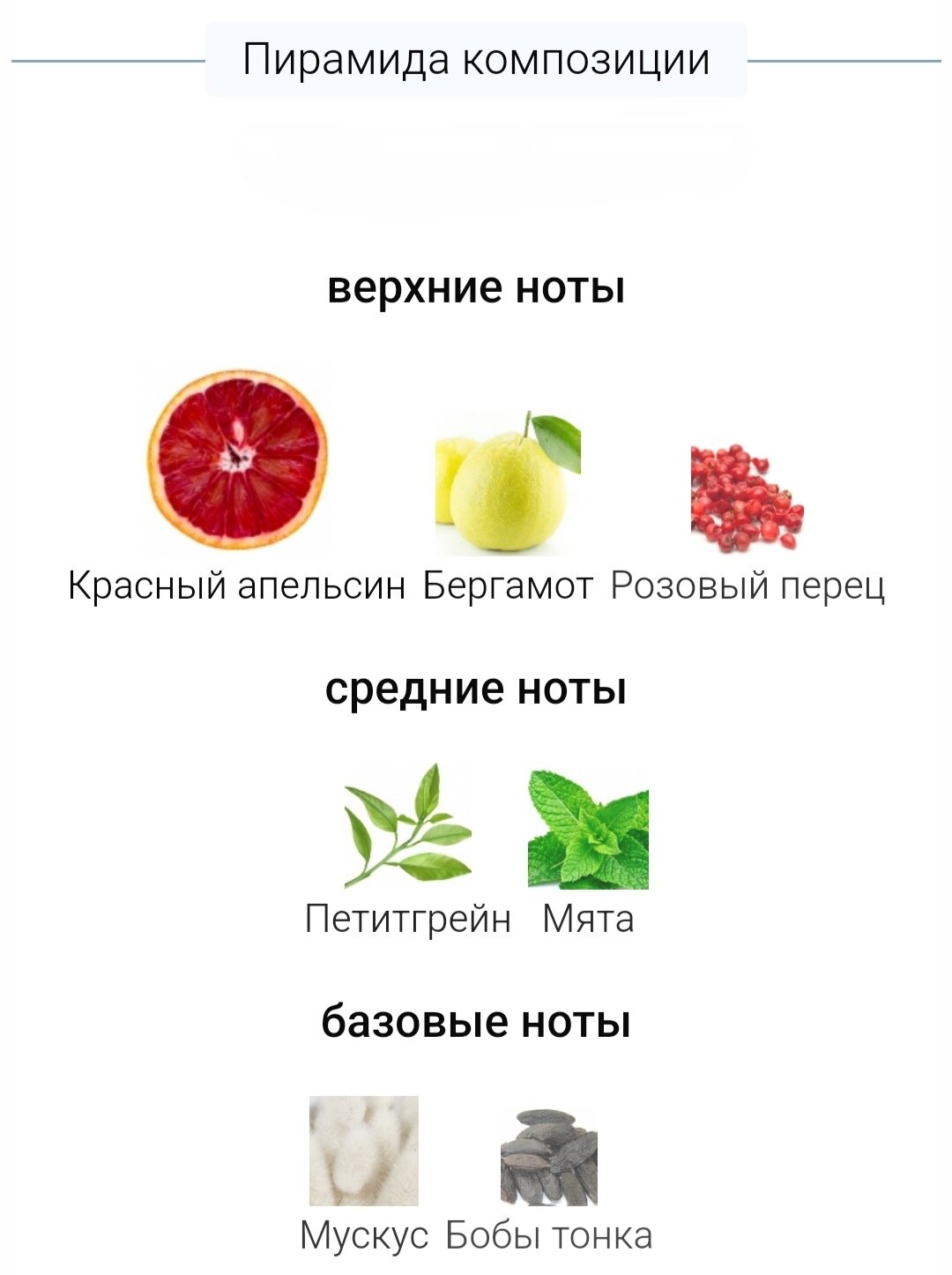 Духи ручной работы по мотивам 'Aqua Allegoria Orange Soleia', для мужчин и женщин — фото 1