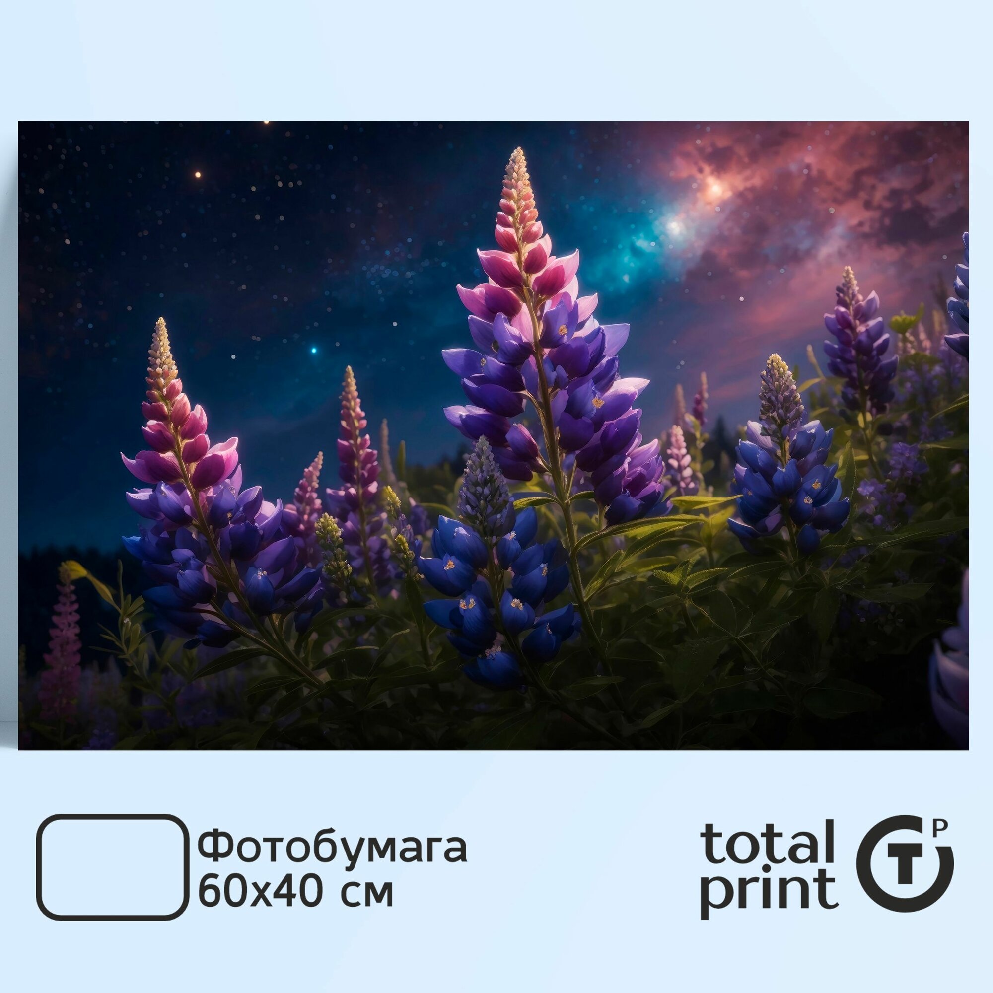 TotalPrint Постер для интерьера, Цветы, букет, композиция, 60х40см.