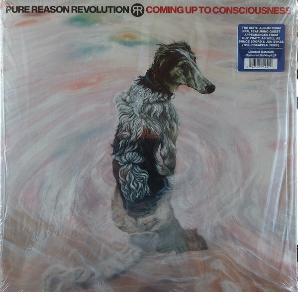PURE REASON REVOLUTION Coming Up To Consciousness (Виниловая пластинка)