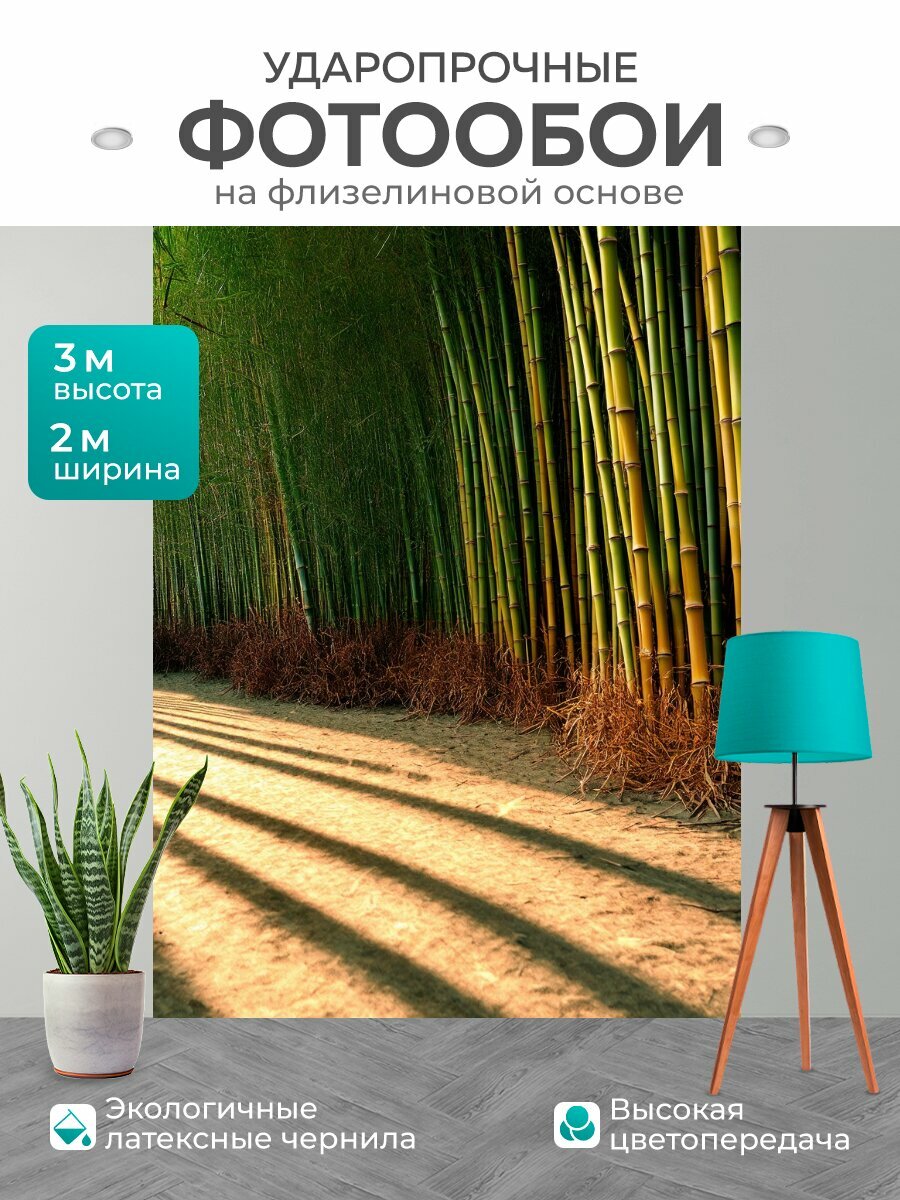 Фотообои моющиеся ударопрочные "Китай: чаща бамбука, освещенная солнечными лучами, создающая игровую тень на земле. стиль - натурализм с акцентом" 200x300 см. флизелиновые на стену