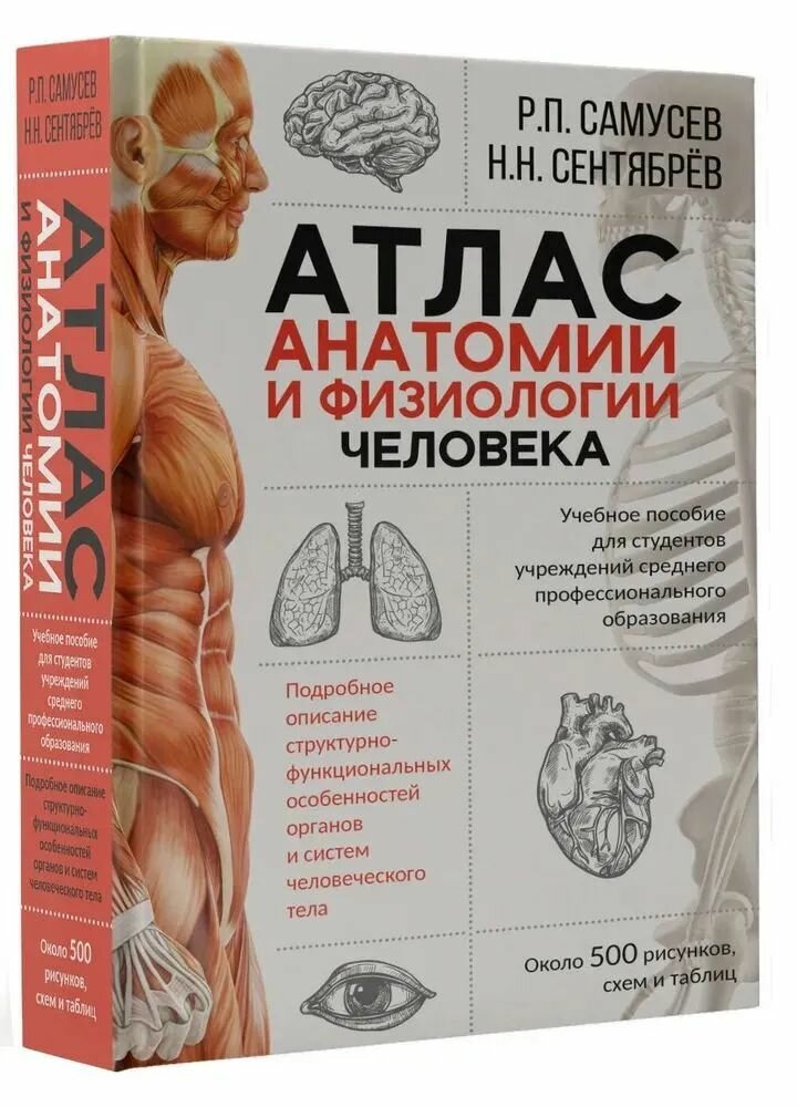 Атлас анатомии и физиологии человека. Учебное пособие для студентов учреждений среднего профессионал