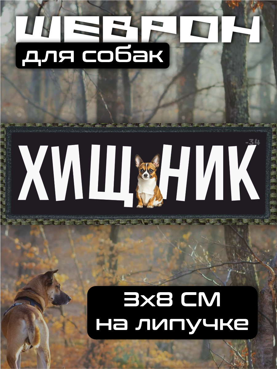 Шеврон на липучке для собак Хищник чихуахуа