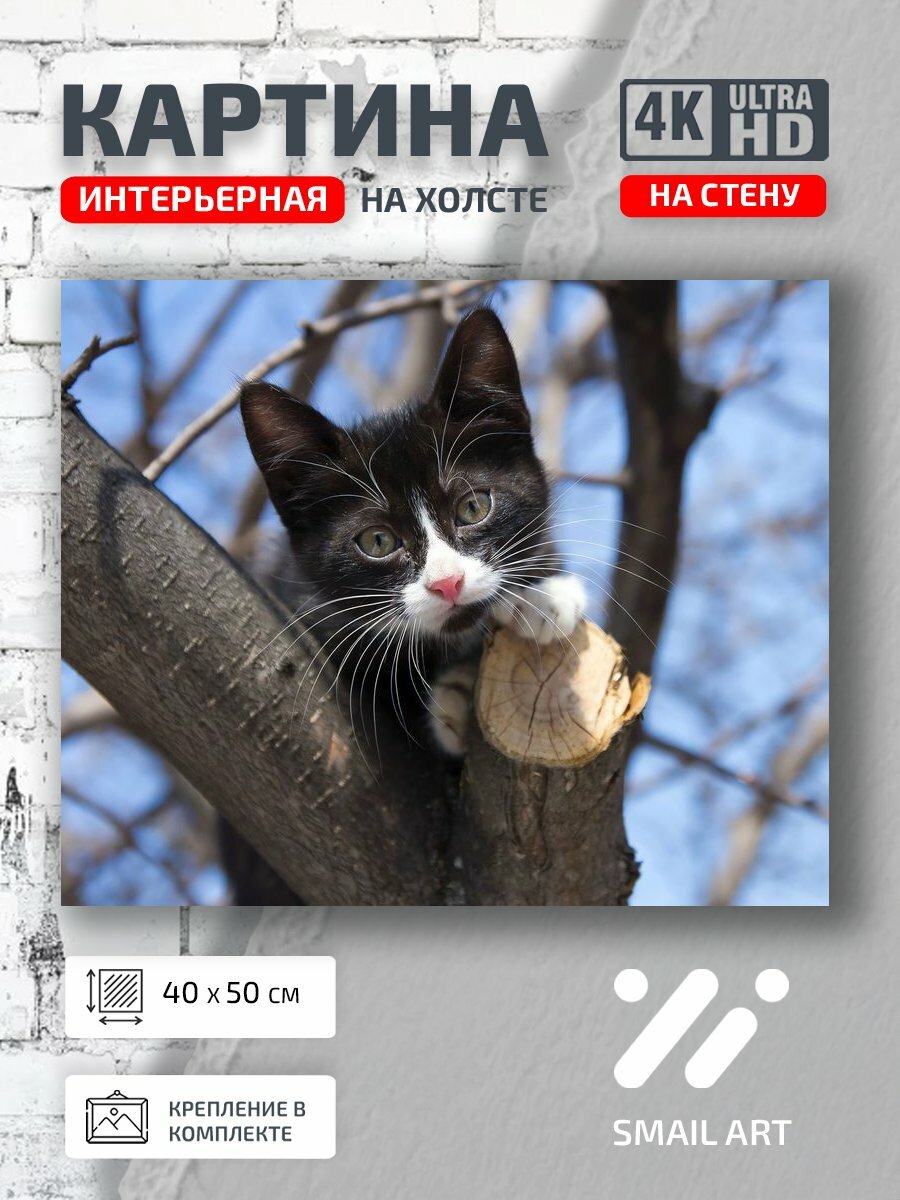 Картина на холсте интерьерная 40 на 50 на стену Черный Landscape для гостиной пейзаж декор
