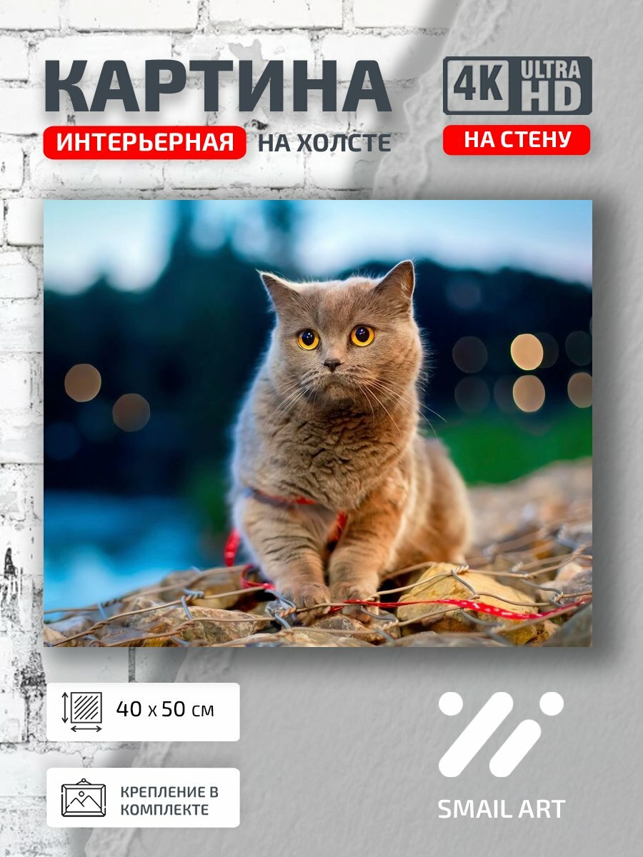 Картина на холсте интерьерная 40 на 50 на стену Глаза Animal для кафе animal style интерьер