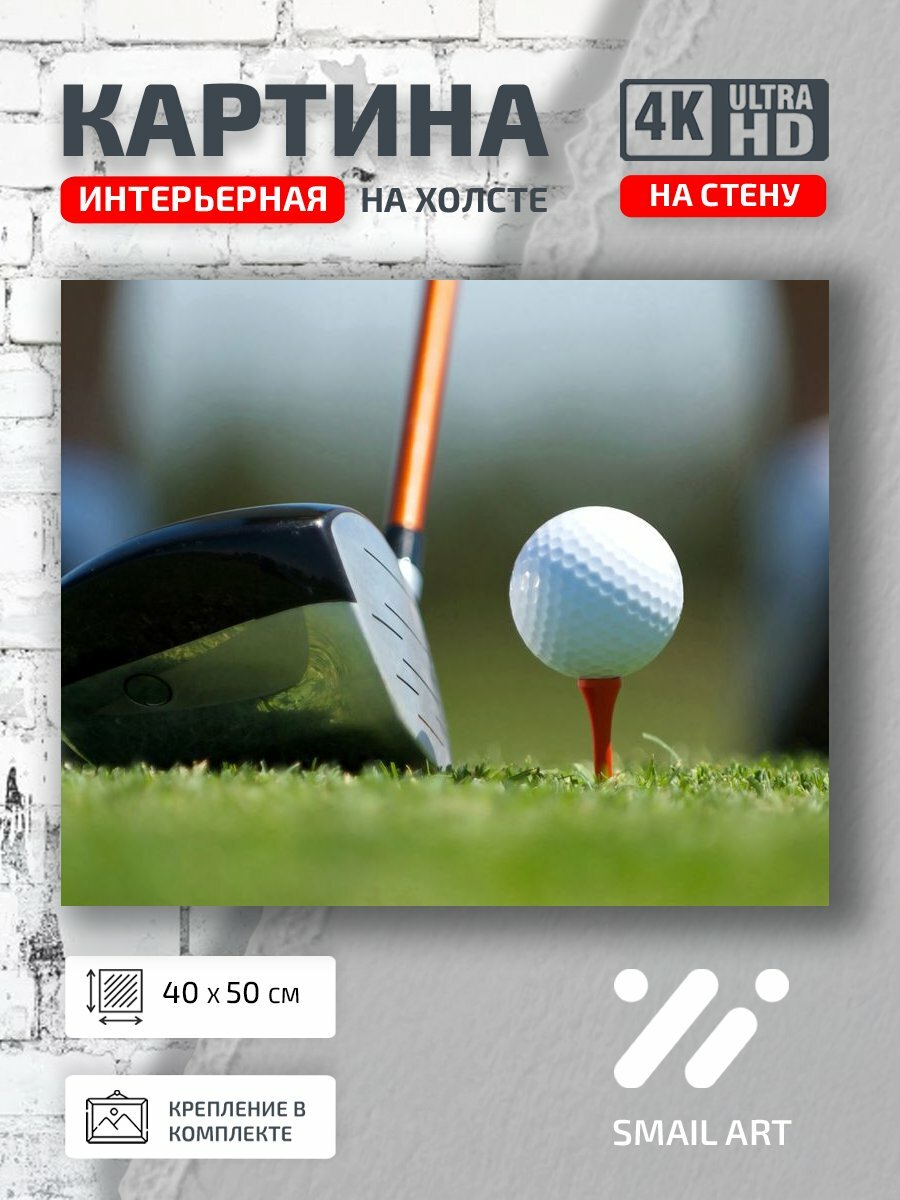 Картина на холсте интерьерная 40 на 50 на стену Гольф golf для офиса атмосфера интерьер