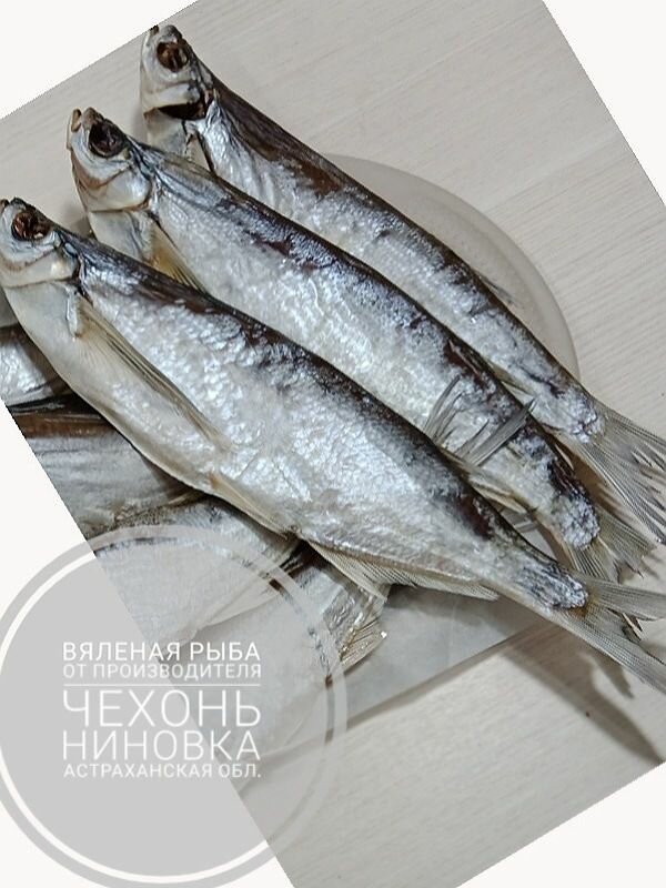 Набор вяленой рыбы чехонь размерный ряд 23-25 см + рыбка в подарок