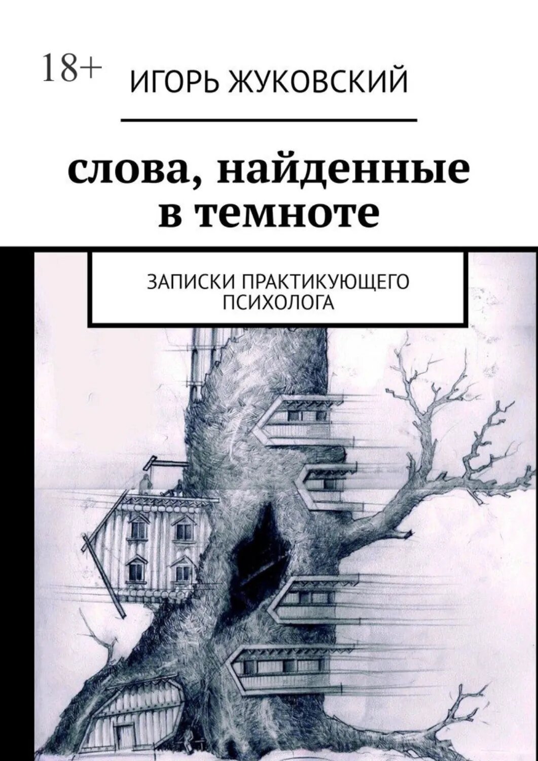 Слова, найденные в темноте. Записки практикующего психолога [Цифровая книга]