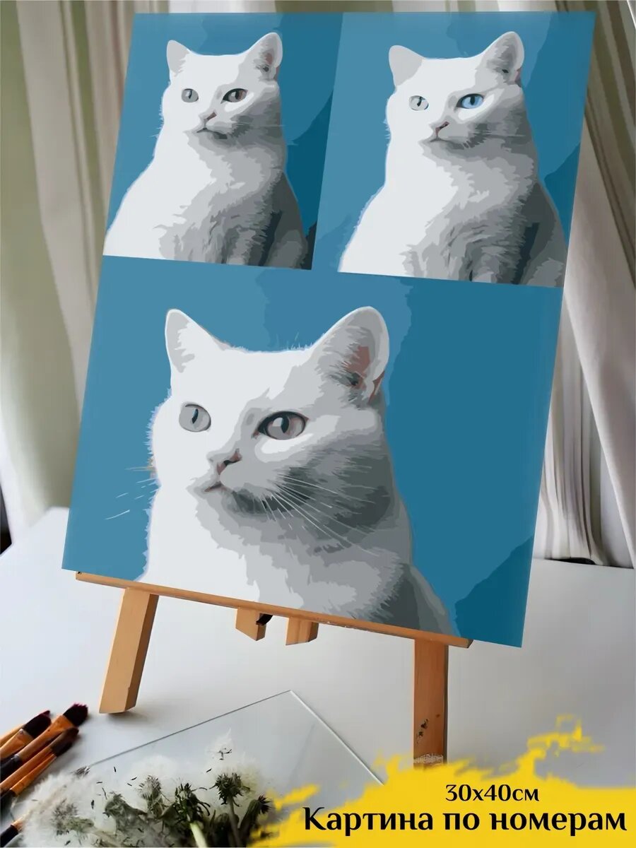 Картина по номерам белый кот
