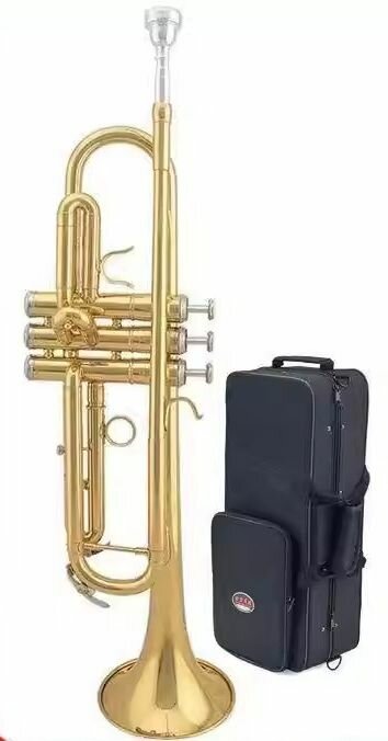 Труба си-бемоль мажор подходящий инструмент для начинающих и студентов.