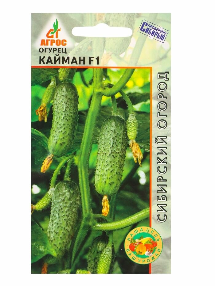 Семена Огурец Кайман , F1, 8 шт, Агросс