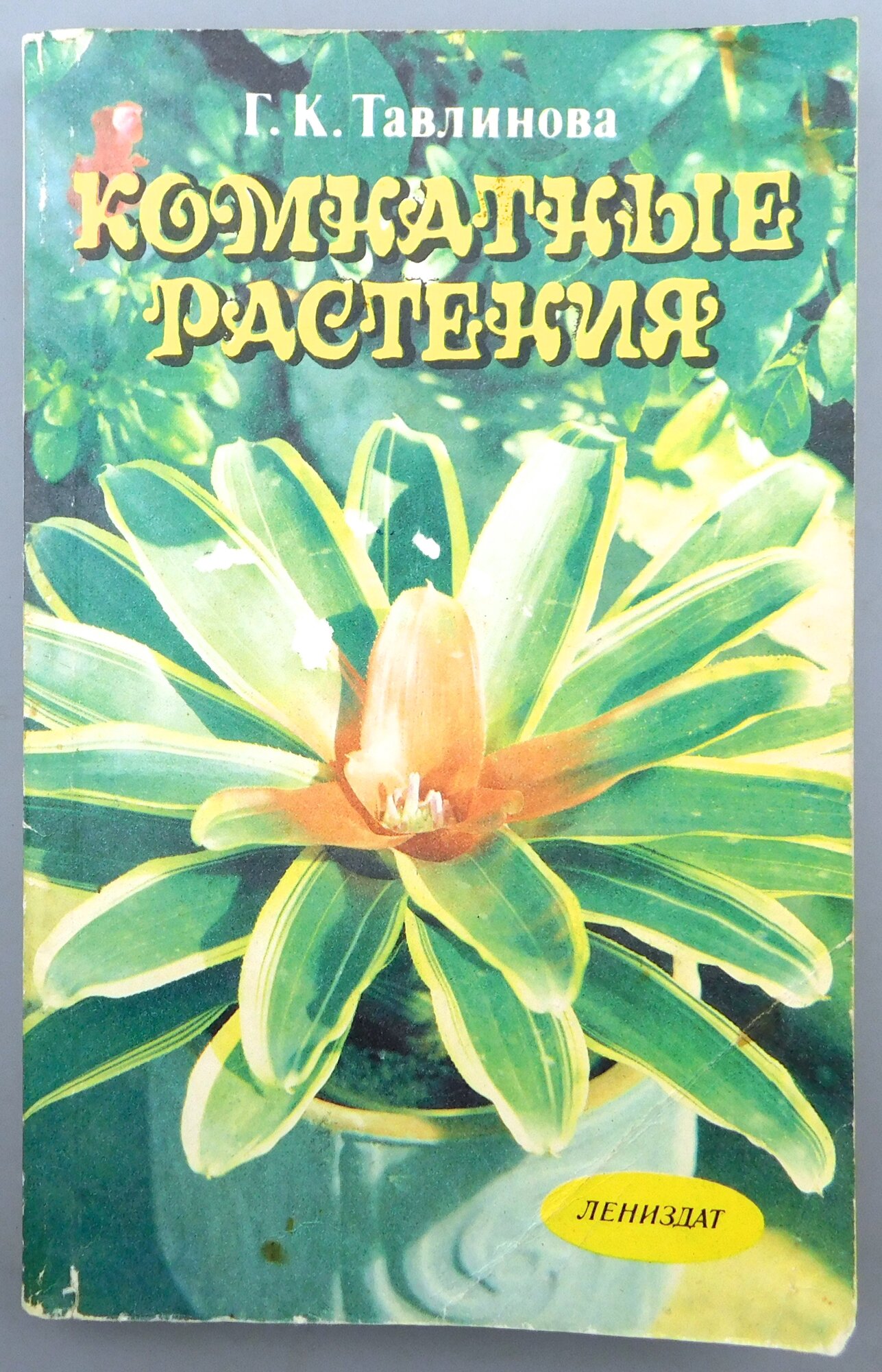 Книга комнатные растения Тавлинова Г. К. 1995 год