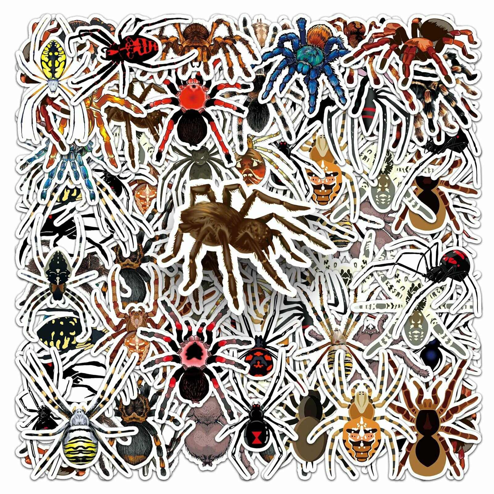 Набор из 50 наклеек с пауками, жуткие виниловые наклейки с мультяшными насекомыми для ноутбука, чехла для телефона, блокнота, альбома, бутылки с водой – водонепроницаемый набор наклеек в стиле животных на Хэллоуин для подростков, взрослых и детей