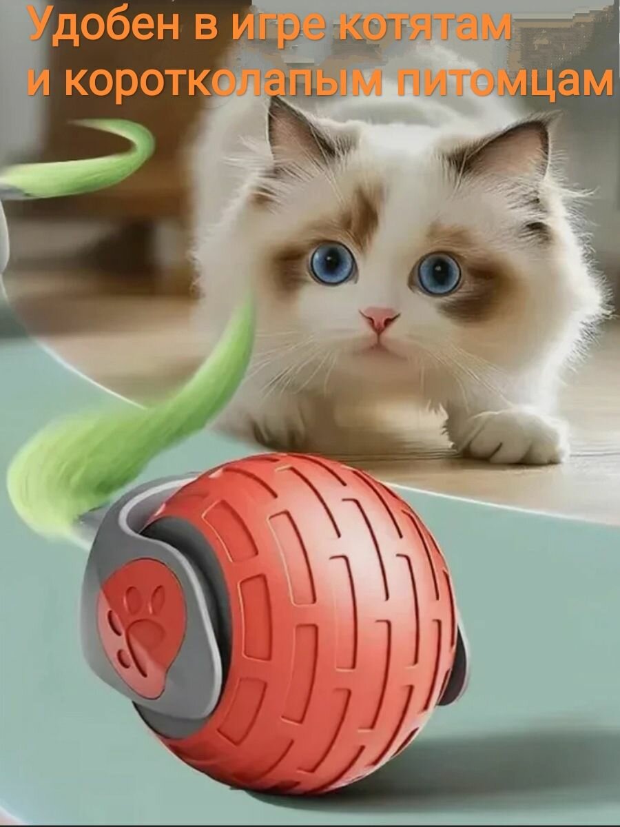Мячик-хвостик. Игрушка интерактивная для кошек. 2 режима. USB