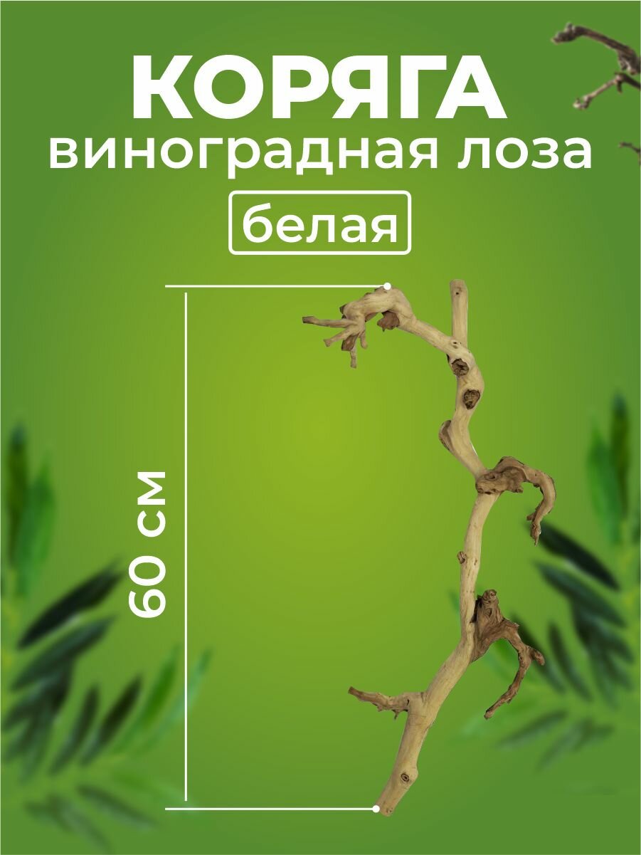 Декорация для аквариума/террариума