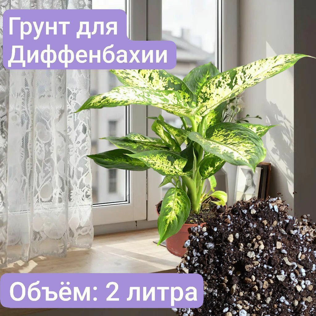 Авторский грунт для Диффенбахий 2 литра