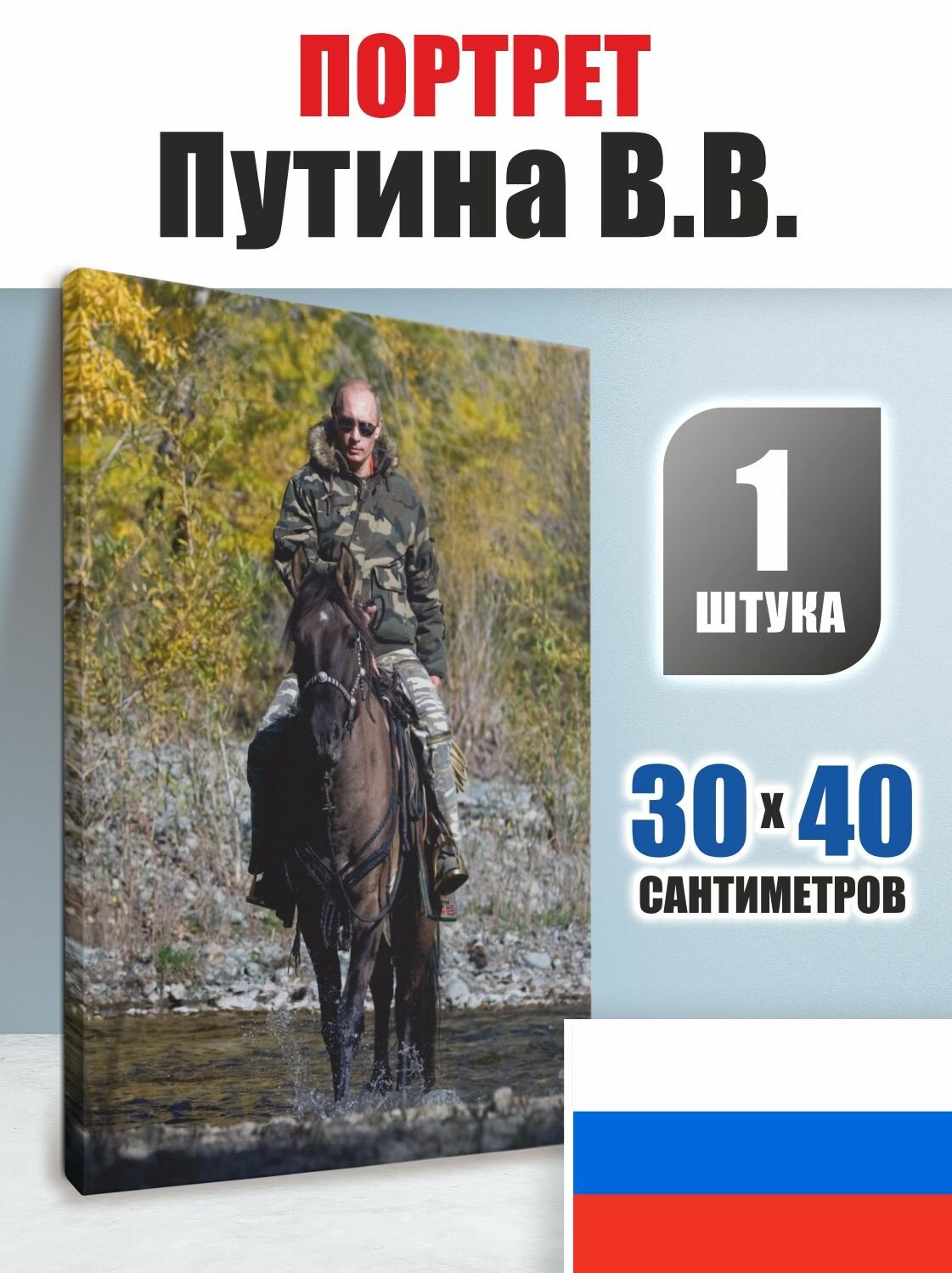 Картина на холсте для интерьера "Путин" Портрет Президента Путина, 300х400 мм, VoloMar
