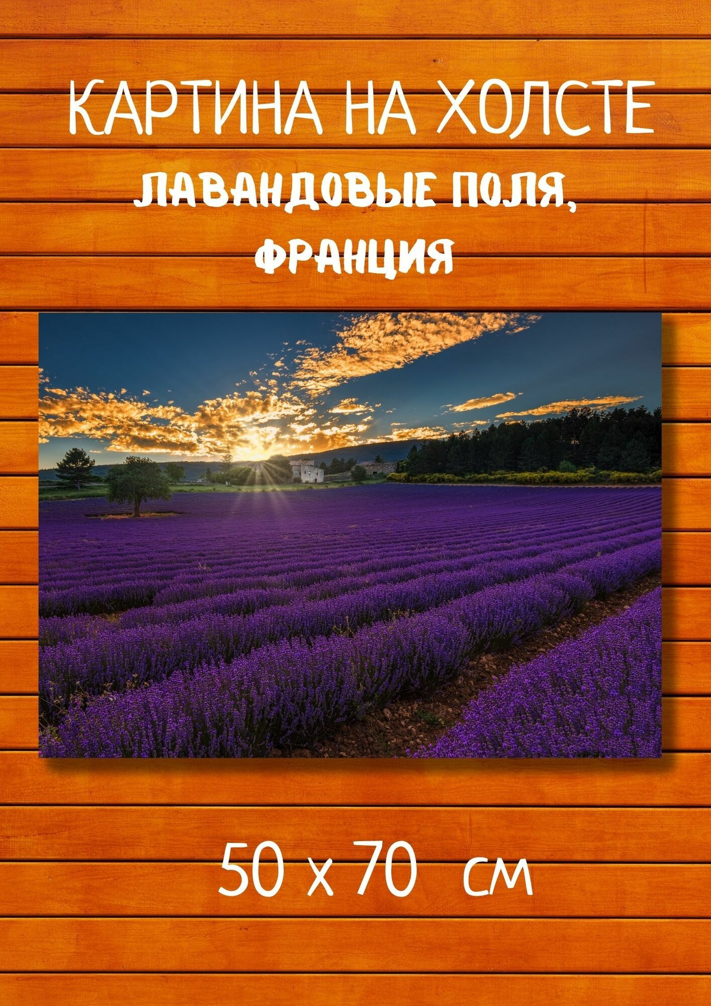 Картина интерьерная 70х50 с долиной "Лавандовые поля, Франция"