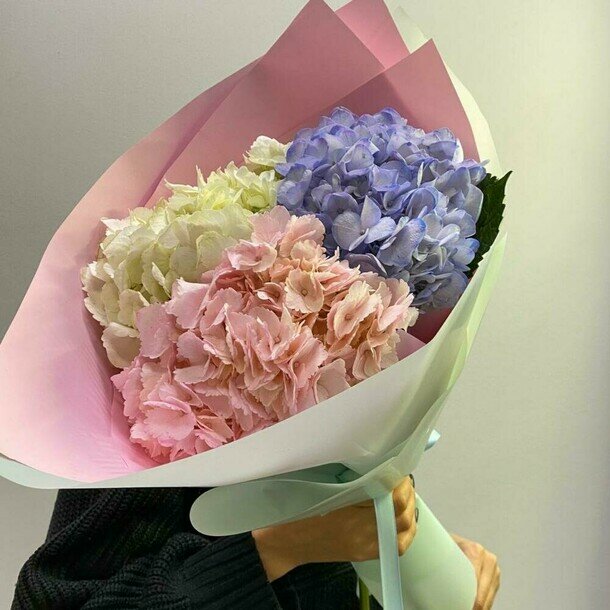 Букет Well Flowers "Весенний", гортензии, круглый, XL, дизайнерская упаковка, 3 шт, букет свежих цветов