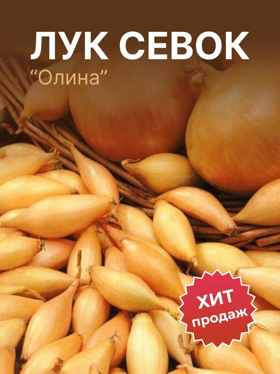 Лук севок Олина 500гр