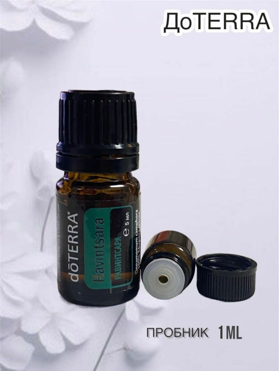 Ravintsara дотерра Равинтсара, 1мл Пробник