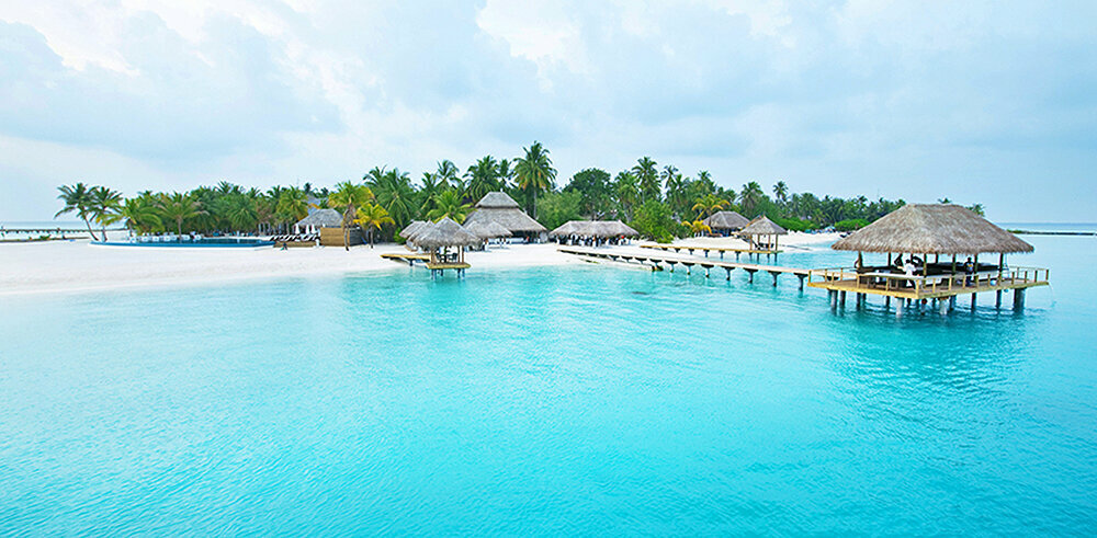 Фотообои Divino Decor "Тропики" С-350(Б-350) 300*147 фактура холст