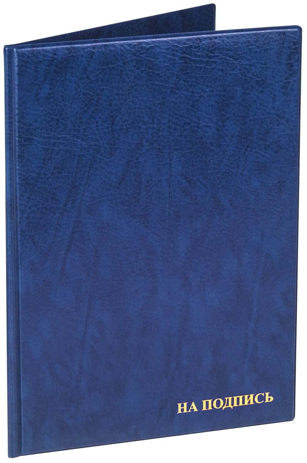 Папка адресная ПВХ "на подпись", формат А4, увеличенная вместимость до 100 листов, синяя, "ДПС", 2032. Н-101