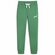 Брюки PUMA ESS BLOSSOM Script Pants TR, размер XS, зелёный