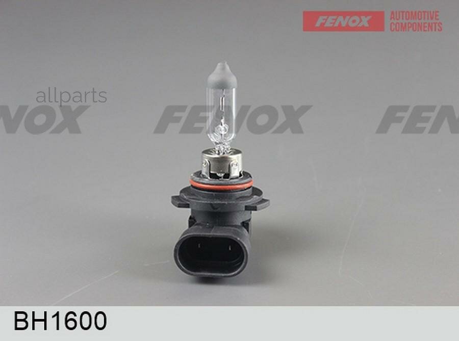 FENOX BH1600 автомобильная галогенная лампа универсальная HB4 (9006), 12V, 55W, P22D