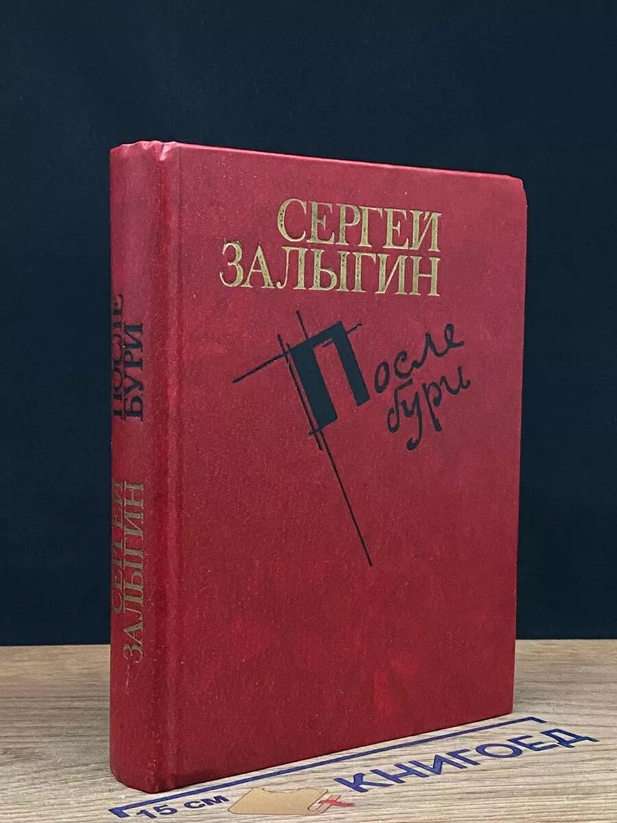 Книга. После бури 1982 (2039651864141)