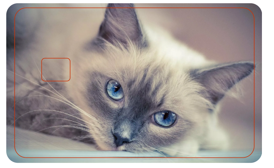 Наклейка на банковскую карту, стикер на карту, кошки