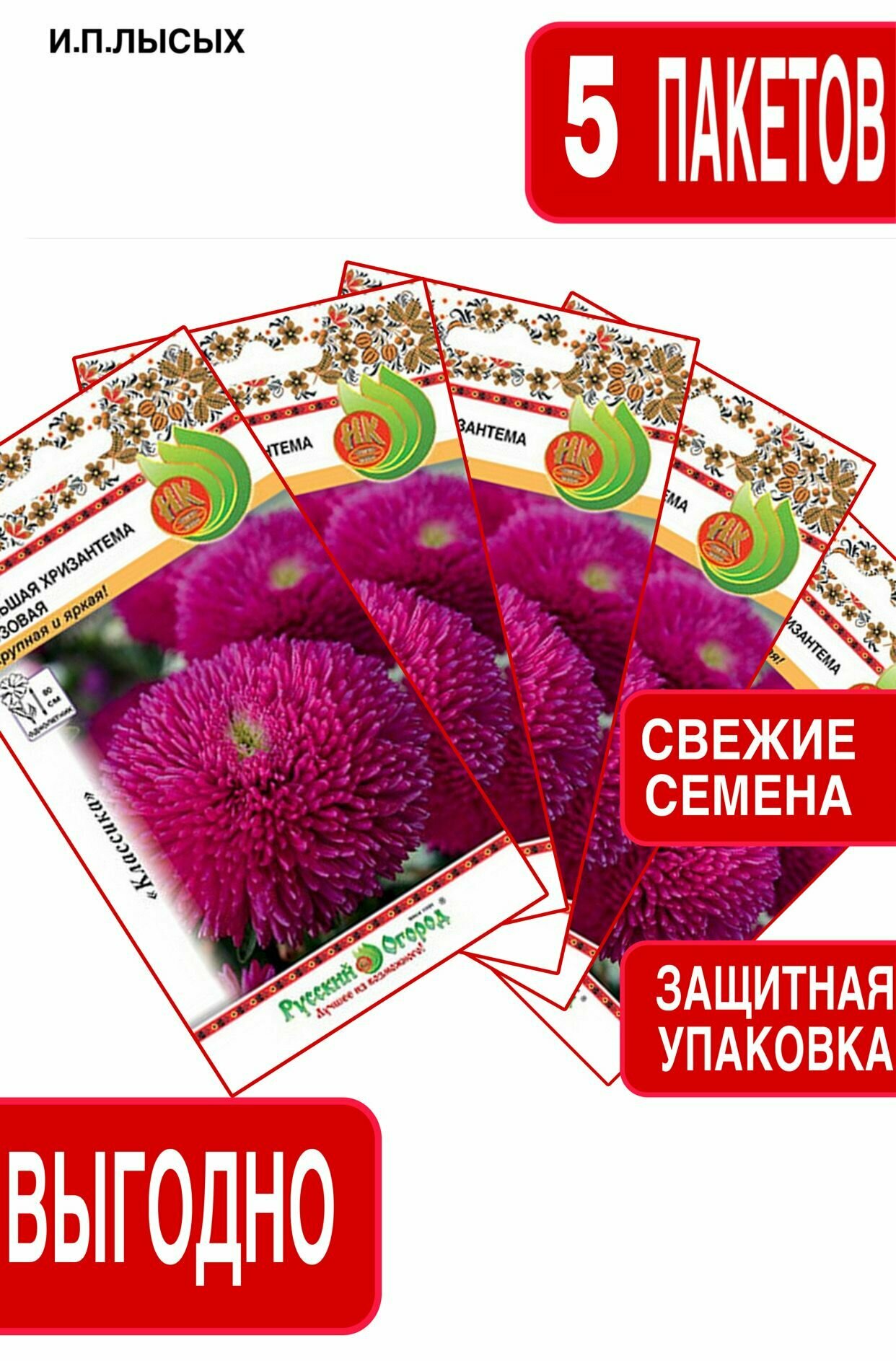 Семена Астра Большая хризантема розовая