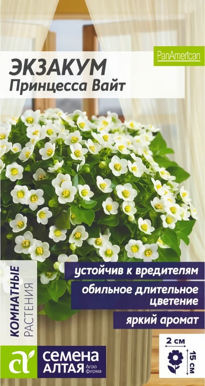 Экзакум Принцесса Вайт