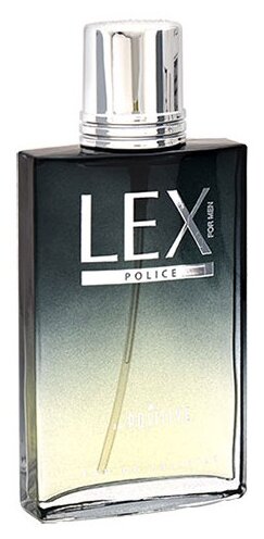 Art Positive туалетная вода Lex Police, 90 мл