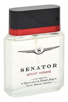 Art Positive туалетная вода Senator Sport Homme, 100 мл