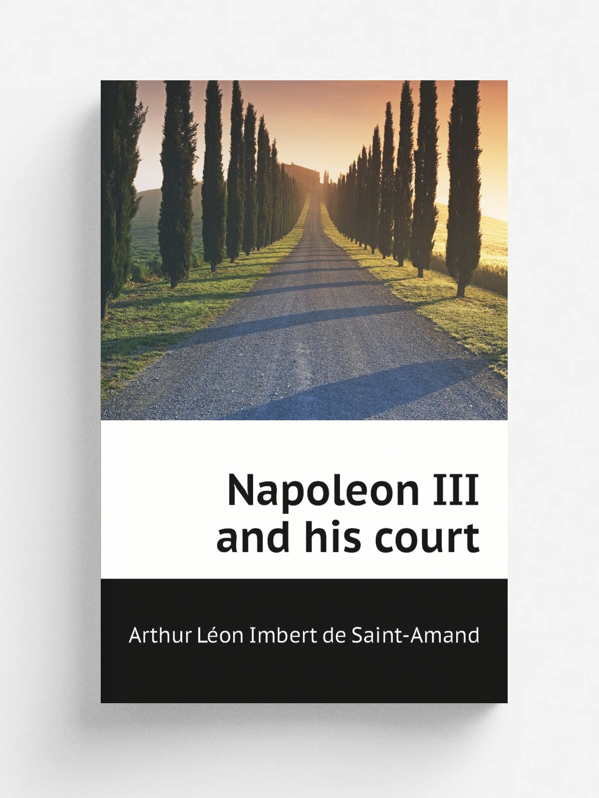Napoleon Iii and his court | Arthur L.on Imbert de Saint-Amand | Репринт
